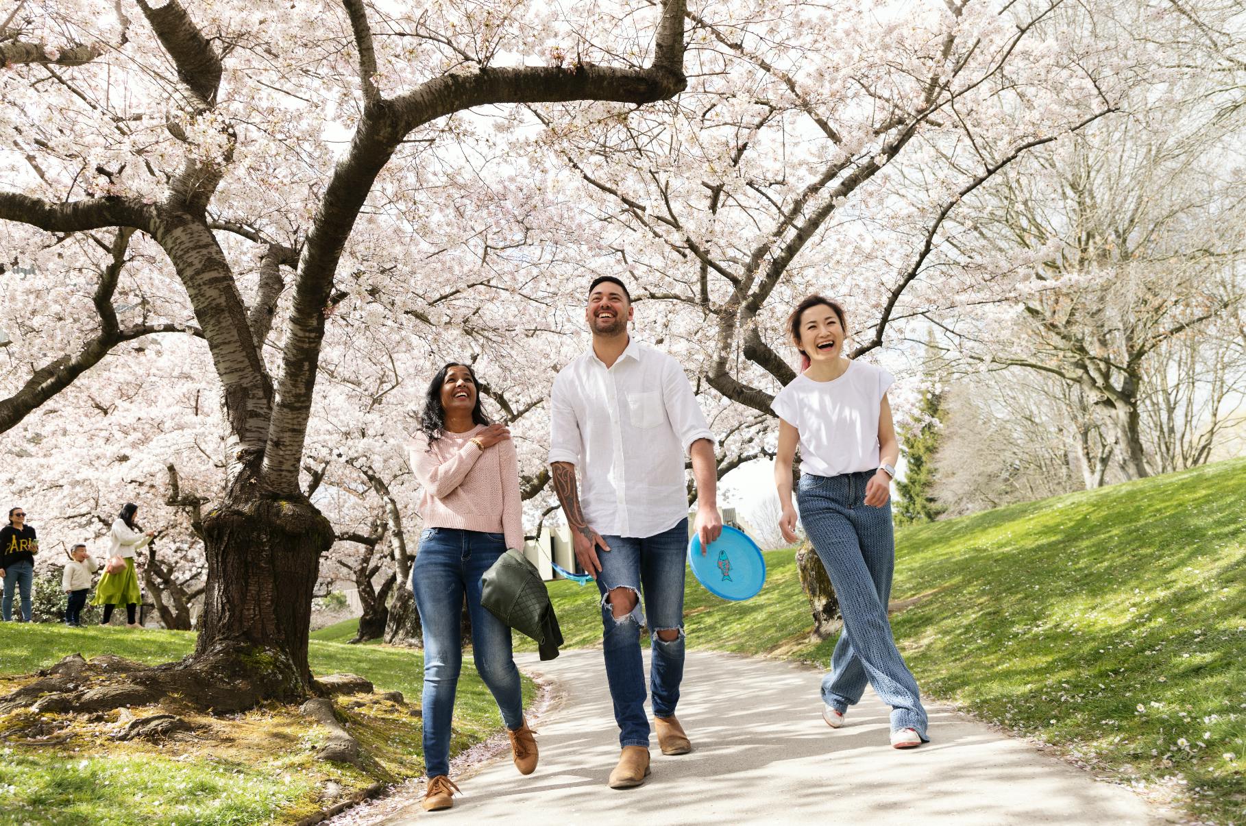 Experience Christchurch: Attractions & More | Te Pae